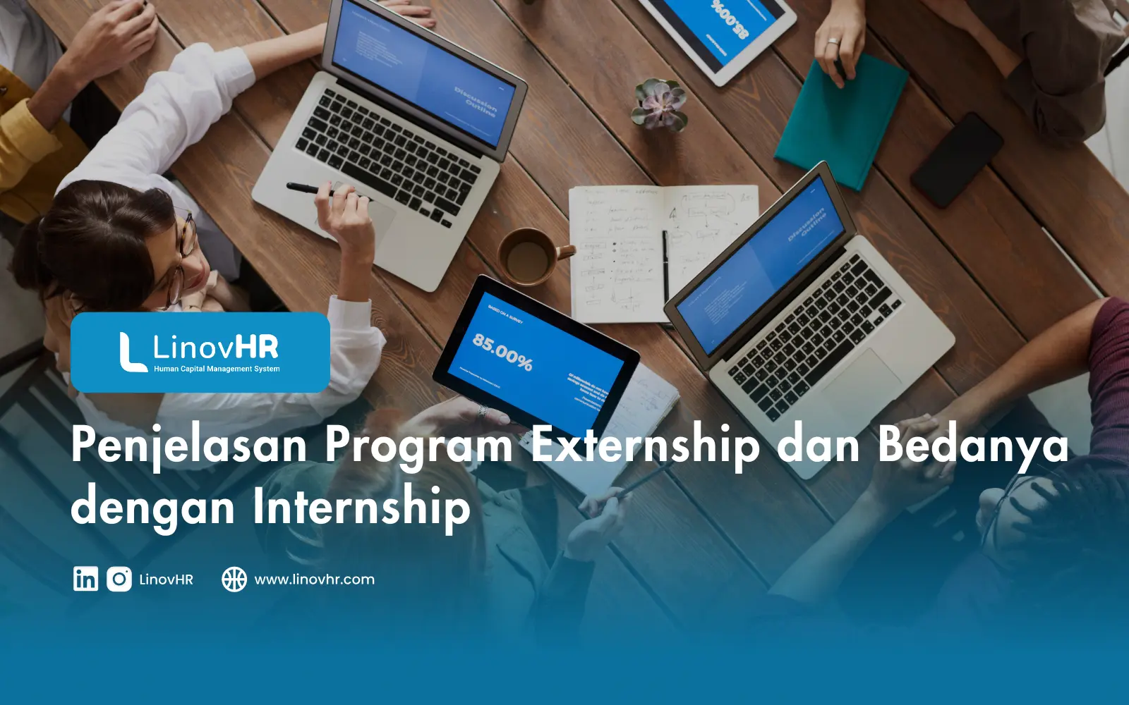 Penjelasan Program Externship dan Bedanya dengan Internship