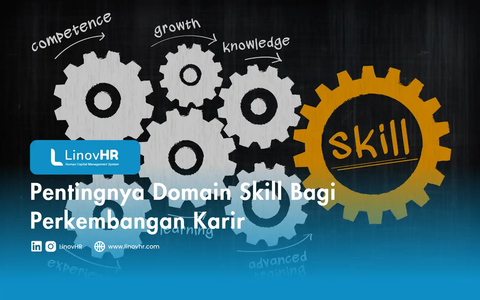 Pentingnya Domain Skill Bagi Perkembangan Karir LinovHR