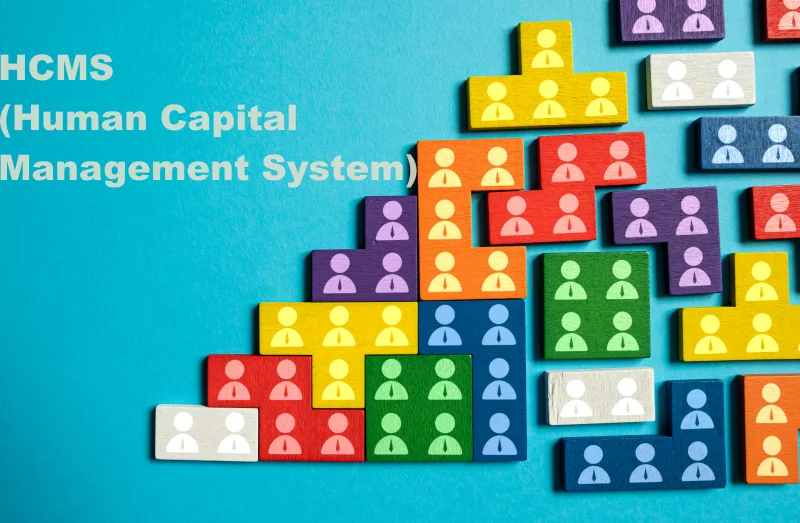 HCMS (Human Capital Management System): Pengertian dan Area Kerjanya